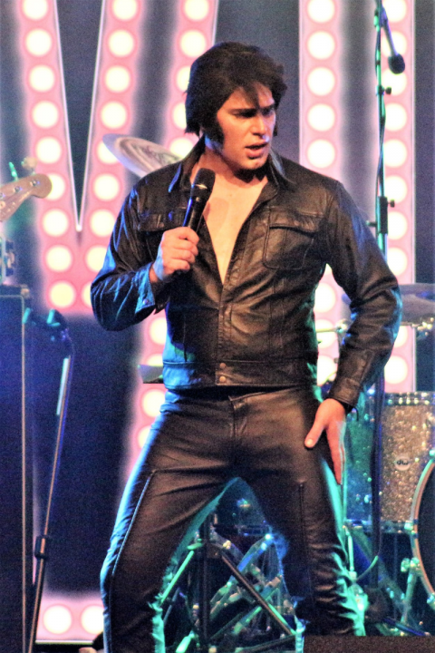 Elvis Presley - Nic King